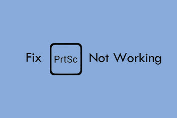 Print Screen Not Working on Windows 11: How to Fix it